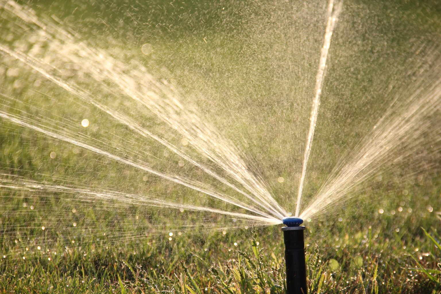 Landscape Irrigation - LAKOS Filtration Solutions