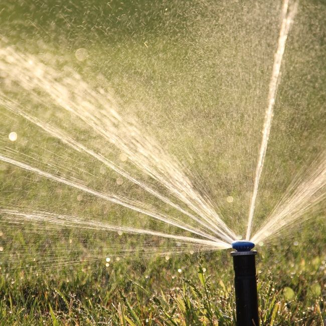 Landscape Irrigation System is Protected with “One Good Separator ...